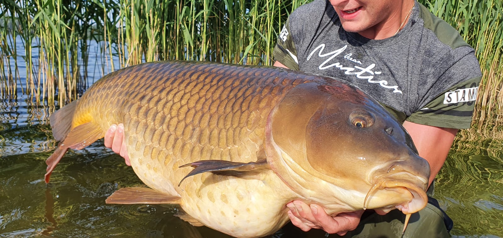 Nieuw meerrecord schub karper - Fishing Adventure