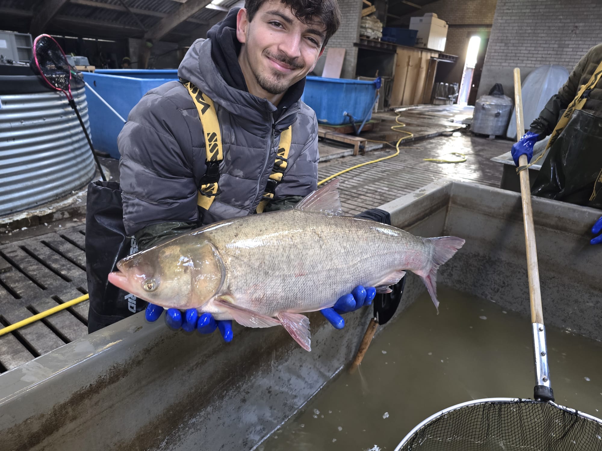 14 Nieuwe Hongaarse Karpers uitgezet op de Lagoon - Fishing Adventure